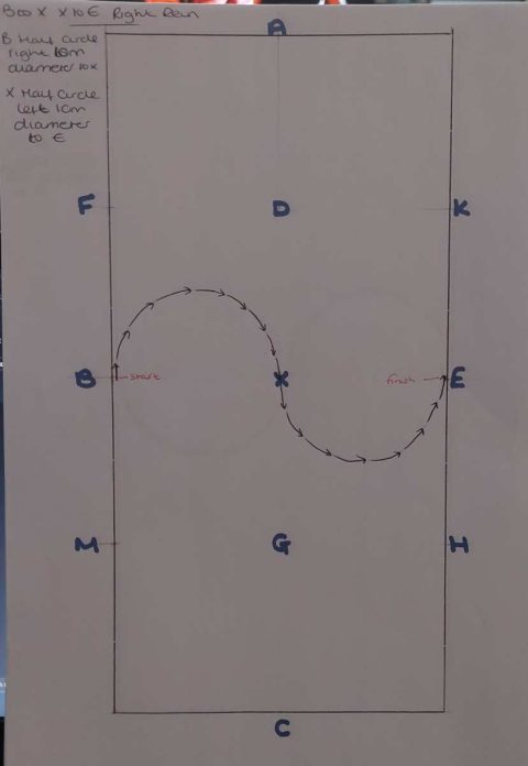 Level 4 Syllabus - Bank Farm Riding School – learn to ride in Stockport