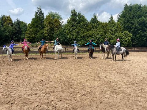 Own A Pony Afternoon (weekends) - Bank Farm Riding School – learn to ...